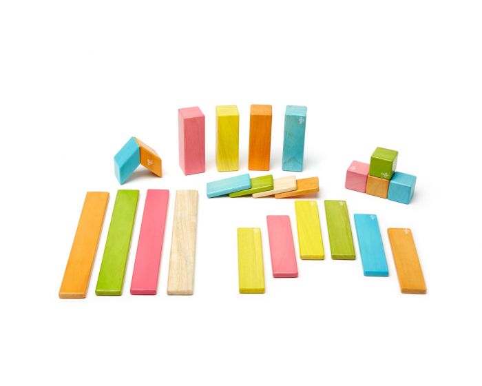 TEGU TINTS 24 PIECE SET – tag-along-toys