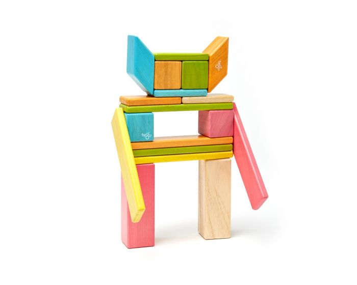 TEGU TINTS 24 PIECE SET – tag-along-toys