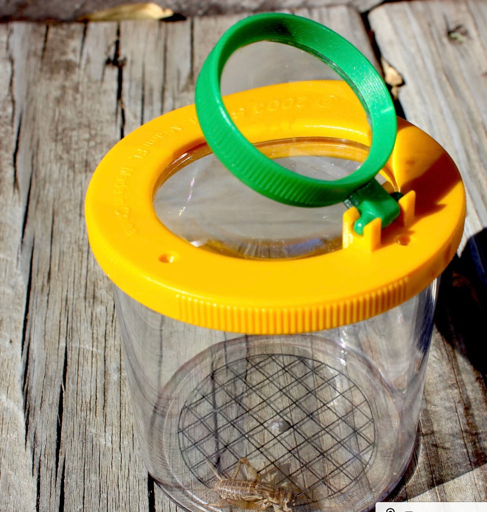 WORLD'S BEST BUG JAR – tag-along-toys