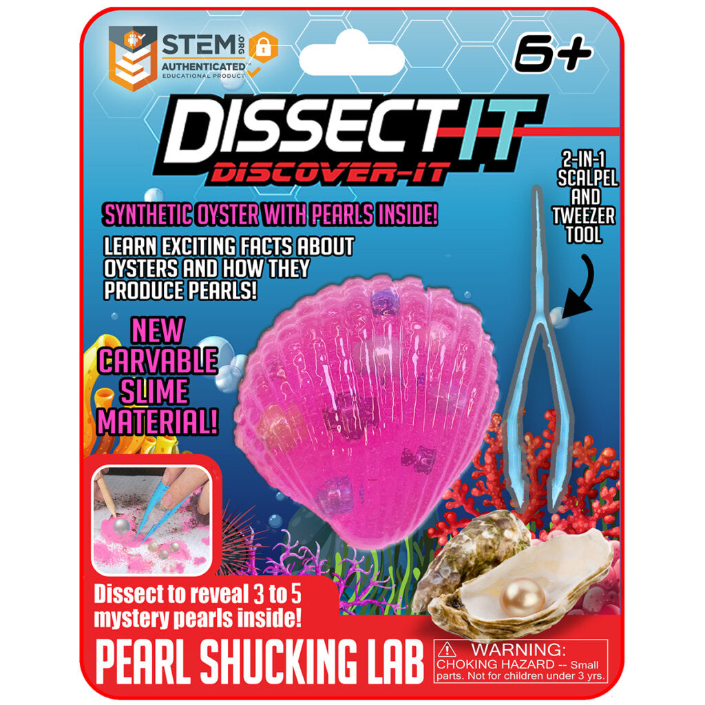 DISSECT IT BUTTERFLY, OYSTER, OWL, INSECT – tag-along-toys